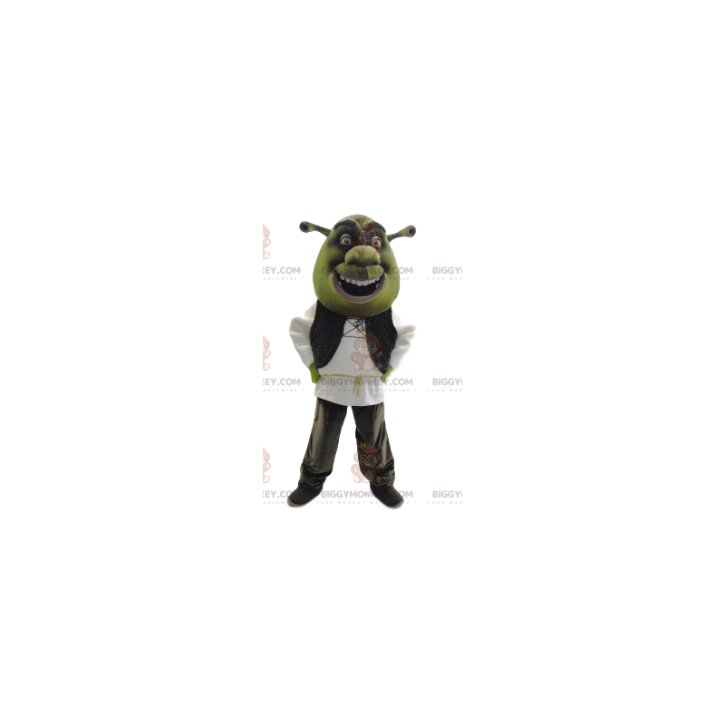 BIGGYMONKEY™ mascot costume of Shrek, the famous