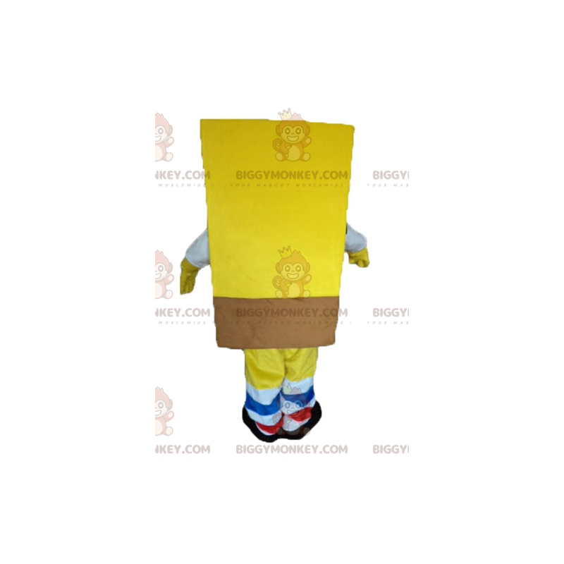 Spongebob mascots - Mascot costumes biggymonkey.com