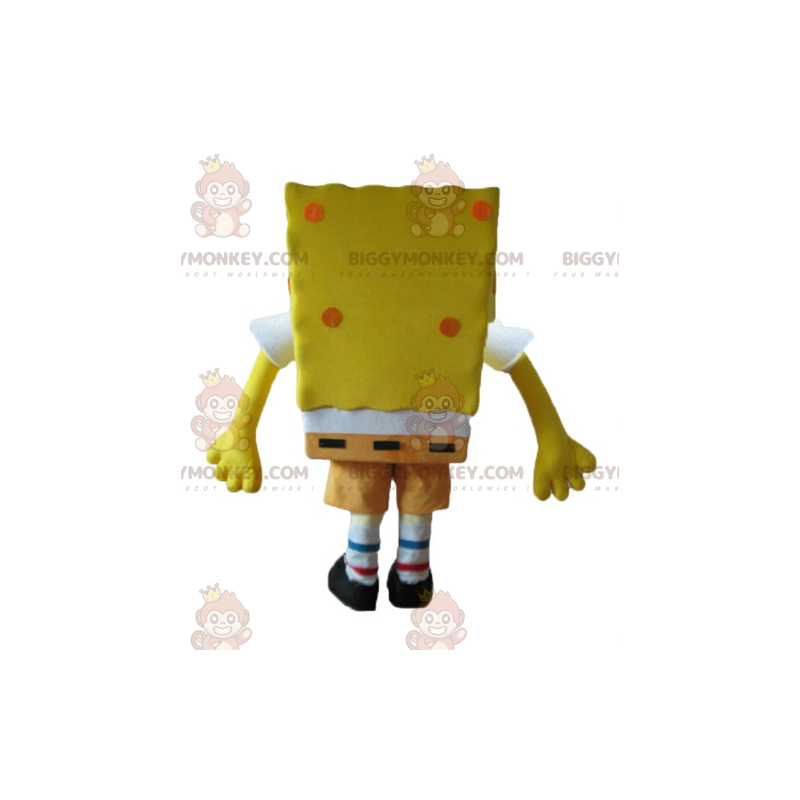 Spongebob mascots - Mascot costumes biggymonkey.com