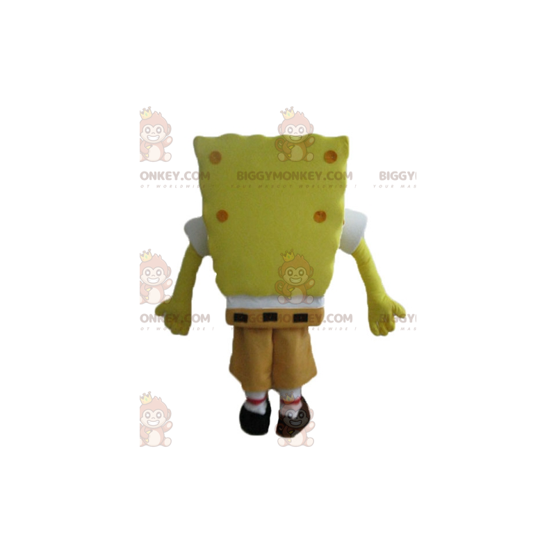 Spongebob mascots - Mascot costumes biggymonkey.com