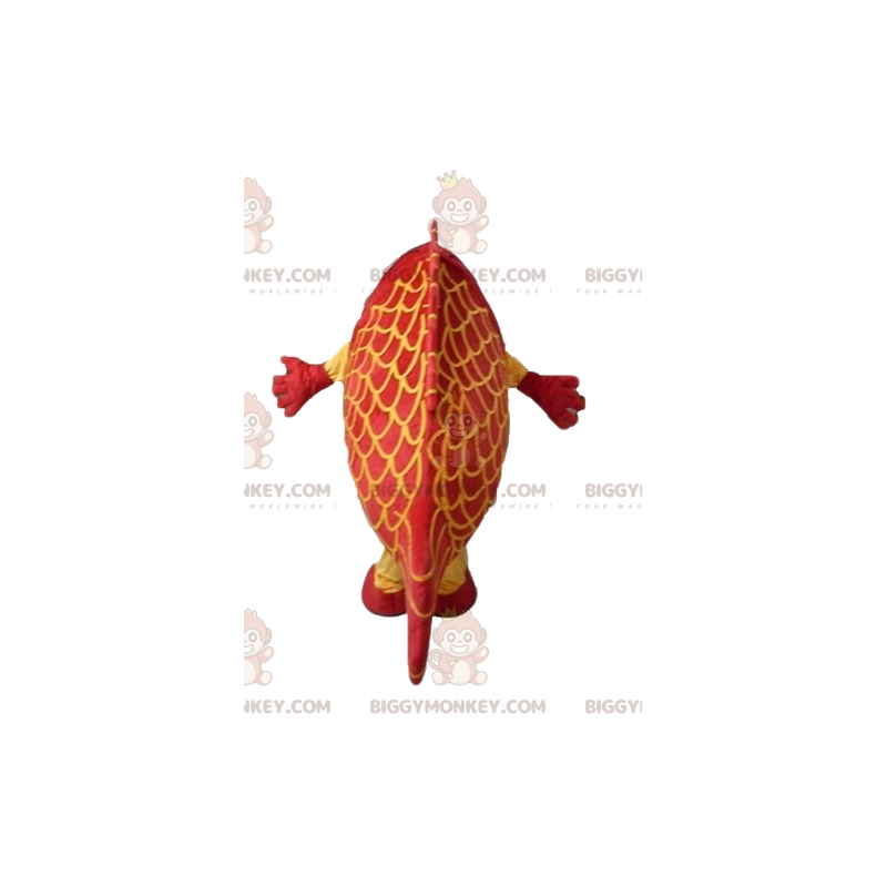 Very Awesome Red and Yellow Giant Fish