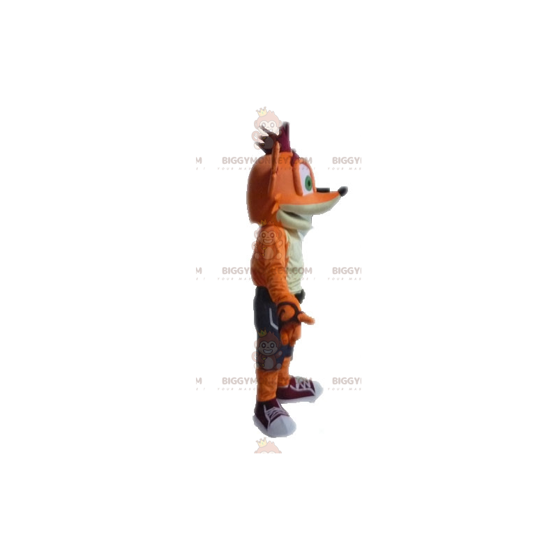 Video Game Famous Crash Bandicoot Fox Sizes L (175-180CM)